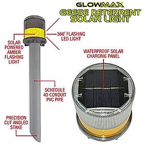 GLOWMAX, Bird Deterrent Device, Nighttime Solution to Repel Geese and Ducks from Lawns, Flashing Night Light Disrupts Sleeping to Discourage Nesting, Set of 1