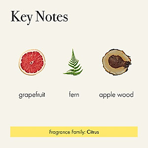 LAFCO New York Classic Candle, White Grapefruit - 6.5 oz - 50-Hour Burn Time - Reusable, Hand Blown Glass Vessel - Made in The USA