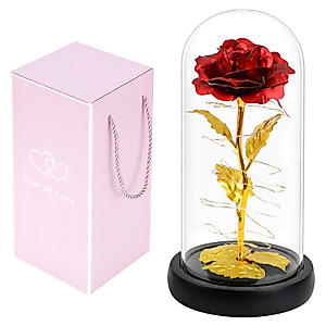 AUGOLA for Her Galaxy Rose, Forever Rose in Glass Dome Rainbow, Unique Love Flower Gifts for Her, Girlfriend, Wife, Mom, Grandma, Women Gifts for Valentines Birthday Mother's Day