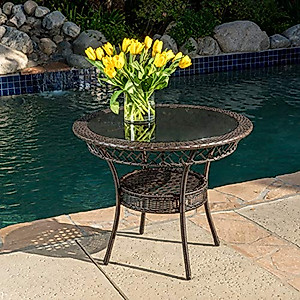 Christopher Knight Home Figi PE 34" Glass Table, Multibrown