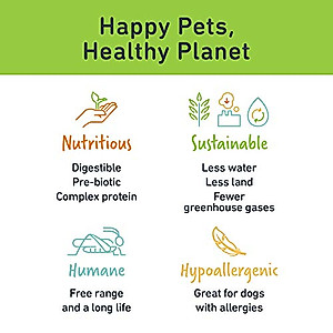 Jiminy's Cricket Treats - Chewy Hypoallergenic Dog Treats, 100% Made in The USA, Cricket Dog Treats, Gluten-Free, Sustainable, All Natural Dog Treats, High Protein - Sweet Potato & Pea, 6oz Bag