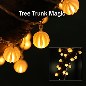 Battery Operated Globe String Lights Bedroom, 16ft 40 Classroom String Lights with Remote, Indoor Outdoor Bedtime Decorative String Lights for Camping Christmas Party Patio Wedding Gazebo Dorm Tent