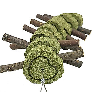 Shelltech Rabbit Chew Toys, Apple Twigs with Timothy Cakes Hanging Toys for Bunny, Rabbits, Chinchilla, Guinea Pigs, Hamsters (Timothy Cake - 2 Pack)