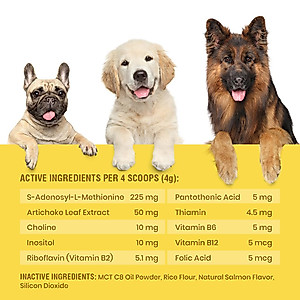 Special Breed Same for Dogs - S-Adenosyl-L-Methionine, Same Advanced, Liver Support Supplement for Dogs, Brain and Cognitive Support, Sam e for Dogs (120 Grams)