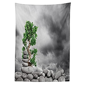 Lunarable Peace Outdoor Tablecloth, Basalt Stones Pile and Green Tree Moody Stormy Dramatic Sky Asia Balance Therapy Theme, Decorative Washable Picnic Table Cloth, 58" X 104", Grey Green