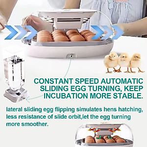 Lreerge Egg Incubator, 12 Eggs Incubator with Automatic Egg Turning, Automatic Water Adding, 360 Degree View, for Hatching Chicken Goose Quail Duck