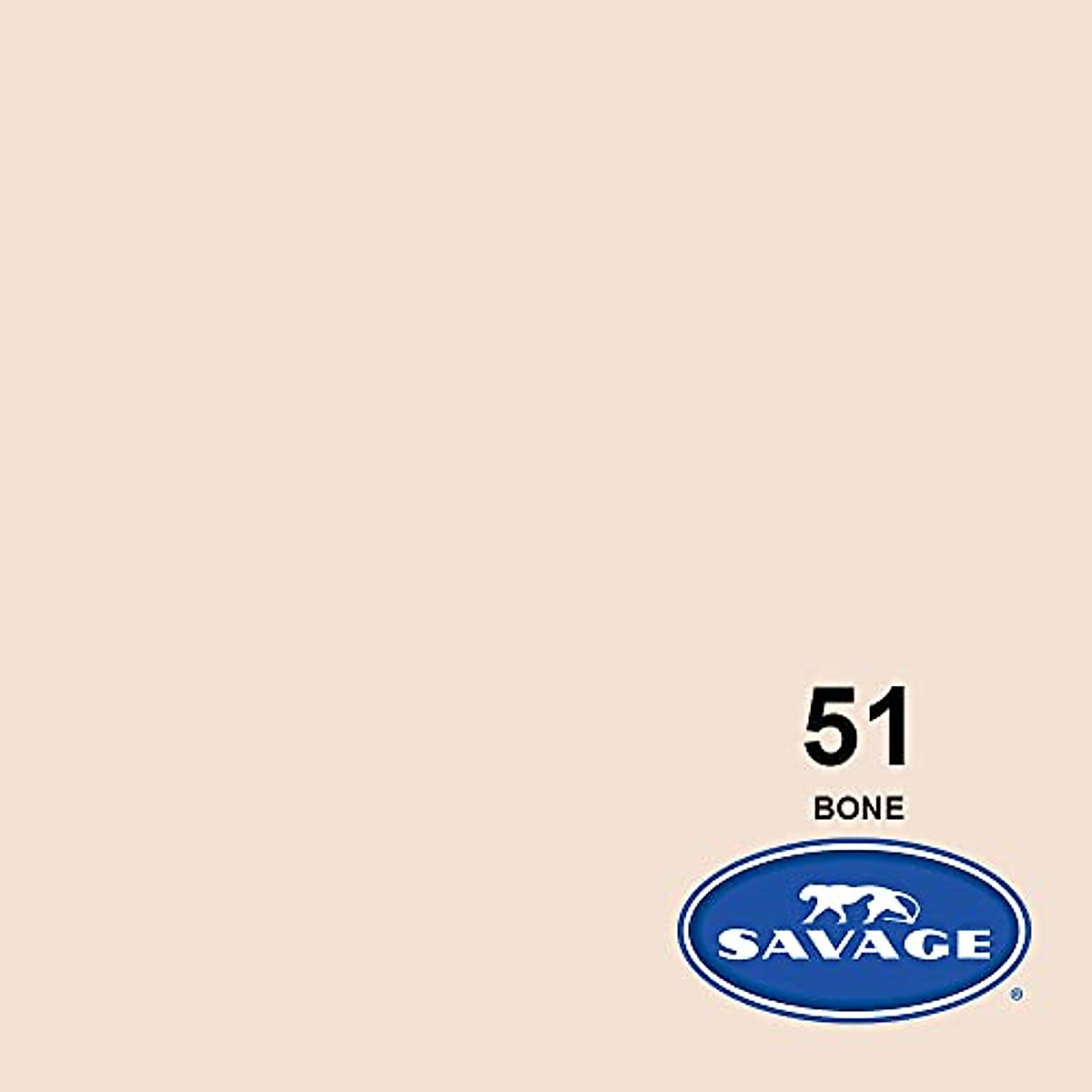 Savage Seamless Background Paper - #51 Bone (107 in x 36 ft)