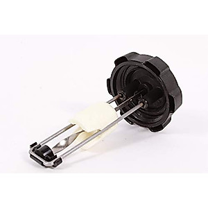 Briggs & Stratton 698109 Lawn & Garden Equipment Engine Fuel Tank Cap and Gauge Genuine Original Equipment Manufacturer (OEM) Part