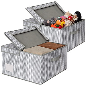 GRANNY SAYS Bundle of 2-Pack Closet Bins with Lids for Storage & 2-Pack Socks Storage Organizers