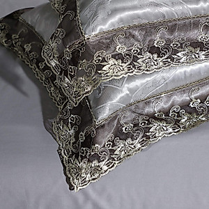 Beyeutao Jacquard Queen Size Duvet Cover Elegant Gray Bedding Set Lace Satin Duvet Set 3 Piece Duvet Cover Pillowcases.(Gray, Queen)