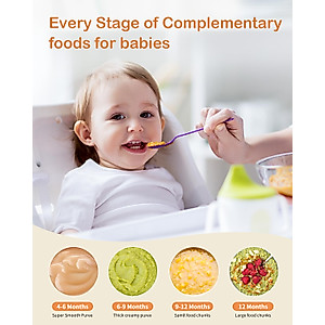 HEYVALUE Baby Food Maker, 13-in-1 Baby Food Processor Sets, Baby Food Puree Blender for Fruit, Vegatable, Meat, with Baby Food Containers, Freezer Tray, Silicone Spoons, Silicone Spatula (Light Blue)