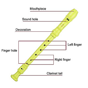 Glory Soprano Recorder Instrument for Kids Beginner, German Fingering C Key Recorder Instrument,Green