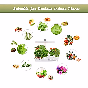 GrowLED Indoor Garden Hydroponic Growing System: Plant Germination Kit Aeroponic Herb Vegetable Growth Lamp Countertop with LED Grow Light - Hydrophonic Planter Grower Harvest Veggie Lettuce