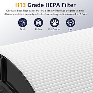 2-IN-1 Filter Replacement Filter for Dyson TP06 HP10 TP07 HP06 TP04 PH01 HP09 TP10 TP09 HP07 Air Purifier 360° Combi Glass Pure Cool Hot Humidify Fan, Upgrade 2-IN-1 HEPA + Carbon Filter, 1-Pack