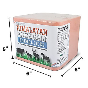 Himalayan Secrets 11LB (5KG) Large Compressed Pink Himalayan Salt Animal Lick Block for Livestock and Wildlife - 100% Pure & Natural Feed Salt - 84 Natural Minerals and Trace Elements
