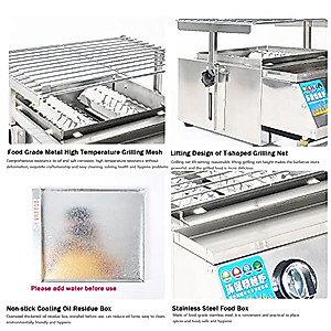 Stainless Steel Burner Gas BBQ for Outside Garden Grill BBQ with Fat Catcher, Tabletop Gas Grill Stainless Steel Two-Burner BBQ with Updated Knobs, Perfect for Camping, Picnics or Any Outdoor,Silver
