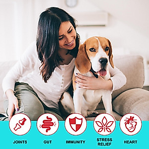 VCTSOF Calming Chews for Dogs 30 Cherws, Dog Calming Treats, Helps with Dog Anxiety, Separation, Barking, Stress Relief, Melatonin for Dogs, Sleep Calming Aid, All Breeds & Sizes (Pekingduck-30Chews)