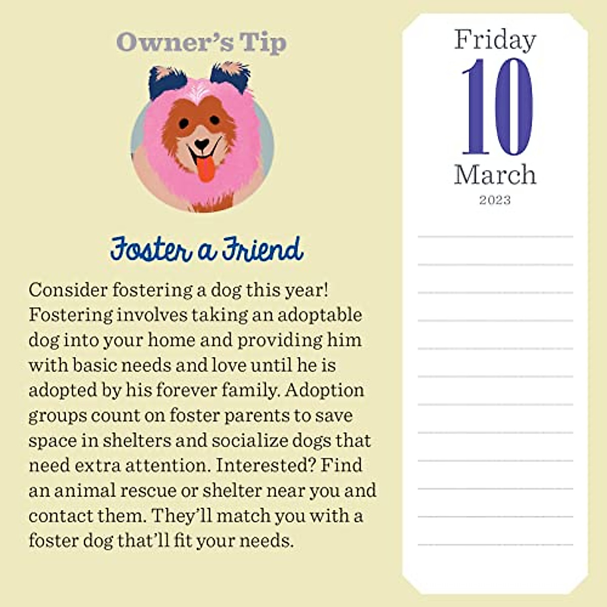 Dog Trivia Page-A-Day Calendar 2023: Dog Quotes, Dog Jokes, True or False, Owner's Tips, Famous Dogs, Know Your Breeds, and More!