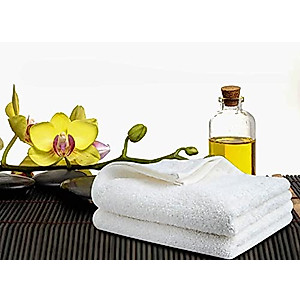 White Salon Towels Pack of 24 Gym Hand Towel, 16 x 26 inch Cotton Not Bleach Proof Salon Towels Ring Spun Cotton Maximum Softness and Absorbency, Easy Care