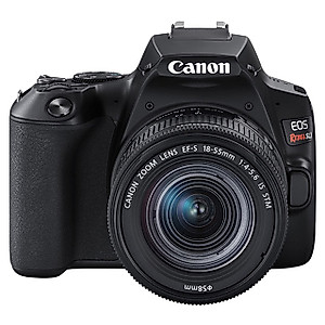 Canon EOS Rebel SL3 DSLR Camera with Video Creator Kit + Canon EF-S 18-55mm f/4-5.6 is STM Lens + 2pc 64GB Memory Cards + Softwear Editor + Tripod & More (Renewed)