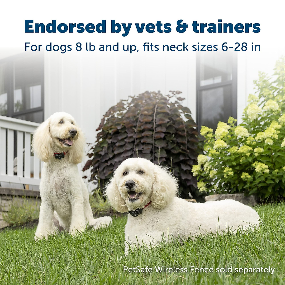 PetSafe Wireless Pet Fence Containment System Receiver Collar Only for Dogs and Cats Over 8 lbs., Waterproof with Tone and Static Correction - from The Parent Company of Invisible Fence Brand