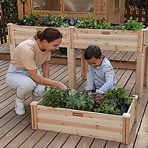 Agitree Rised Garden Bed with Detachable Leg,35 * 19 * 31in,1-Piece Spliceable Elevated Wood Planter Box,Raised Garden beds Outdoor for Vegetables, Flowers, Grass, Lawn, Yard.…