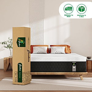 JEEKEA Queen Mattress in a Box - 10 Inch Memory Foam Mattress Queen Size - Queen Hybrid Mattress for Back Pain Relief - Medium Firm Mattress Queen with Motion Isolation & Strong Edge Support