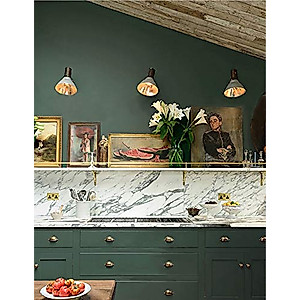 Dimoon 118''x17.7'' Green Peel and Stick Wallpaper Contact Paper Modern Self Adhesive Wall Paper Removable Renter Friendly Textured Solid Color Shelf Cabinet Vinyl Roll (118''x17.7'',Dark Green)