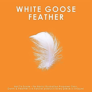 Canadian Down & Feather Co. - All Season White Goose Feather Duvet Comforter Twin Size - 233 TC Shell 100% Cotton - Oeko TEX Certified