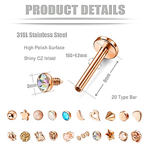 Subiceto 16G Stainless Steel Forward Helix Monroe Labret Lip Nose Studs for Men Women Tragus Cartilage Stud Earrings Cz Balls Heart Flower Medusa Piercings 20 Pcs