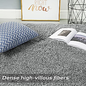 REDASW Soft Shaggy Rugs，4x6 Feet Area Rug，Anti-Skid Fluffy Carpets for Bedroom Living Room, Fuzzy for Kids Baby,Nursery, Dorm Shag Rugs for Girls Boys,Teen's Room,Grey