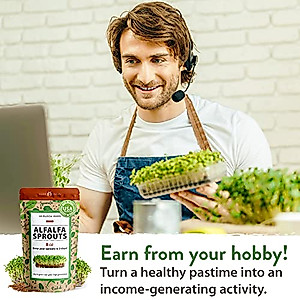 8oz Alfalfa Sprouting Seeds - Alfalfa Sprout Seeds for Indoor or Outdoor Planting - Non-GMO, USA Premium Alfalfa Seeds for Sprouting - Microgreen Seed Sprouts in Resealable Bag for Longer Freshness