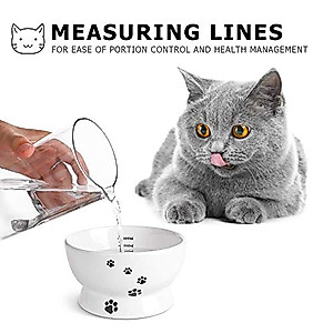 Y YHY Cat Bowl, 15 Ounce Cat Water Bowl, Raised Ceramic Cat Food Bowl, Elevated Cat Dog Dish No Spill, Pet Bowls for Cats or Small Dogs, Anti Vomiting, Measurable, White