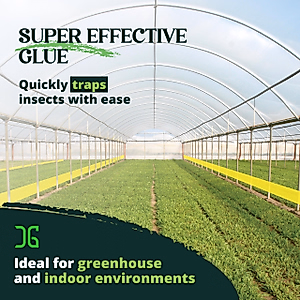 Catchmaster XL AG Roll 2PK, Double Sided Adhesive Fly Tape Strips, Fungus Gnat Sticky Trap for Greenhouse, Garden, Nursery, Pest Control Gardening Supplies, Pet Safe Insect Trap, 328' x 12" Yellow