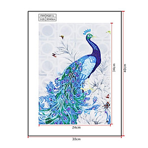 HAPPIShare 5D DIY Full Diamond Painting Rhinestone 3D Peacock Pictures of Crystals Embroidery Kits Arts, Crafts & Sewing Cross Stitch