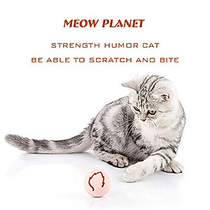 30pcs Rattle Box Repair Toy-Squeakers, Rattle Balls, Rattles Boxes Mixed for Sewing in Noise Maker Insert Pet Baby Toys