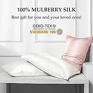 OLESILK 22 Momme Mulberry Silk Pillowcase Queen Size 20''x30'', 100% Pure Silkfor Hair and Skin with Hidden Zipper, Both Sides 750 Thread Count Washable Real Silk Pillow Cover, Ivory