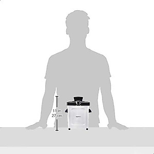 Amazon Basics 3 Liter Electric Deep Fryer, Stainless Steel