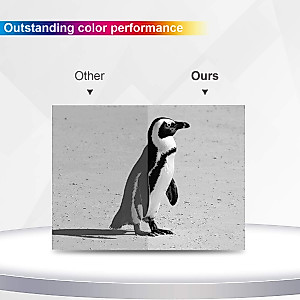 CHENPHON Compatible Toner Cartridge Replacement for Xerox B205 B210 B215 106R04347 106R04346 Toner, High Yield 3,000 Pages use for Xerox B210DNI B205NI B215DNI Printer, (Black 2-Pack)