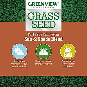 GreenView Fairway Formula Grass Seed Turf Type Tall Fescue Sun & Shade Blend - 20 lbs.