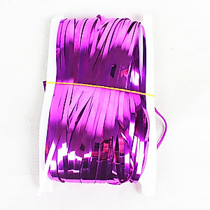 2 Pack 3.2ft x 8.2ft Foil Fringe Curtain Backdrop Metallic Tinsel Foil Fringe Curtains Party Decorations Silver Tinsel Streamer Backdrop Photo Booth Props for Birthday Graduation Baby Shower Wedding