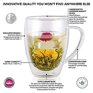 Teabloom Double Walled Glasses - Set of 2 Insulated Glass Mugs for Tea, Coffee, and More (12 Ounces) – Clear Bliss Collection