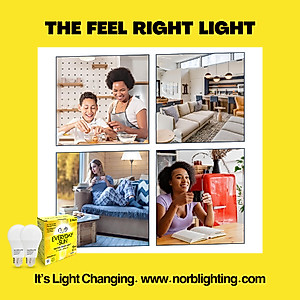 Norb Everyday Sun Light Bulb - Full Spectrum Wellness Lighting with Sun-Mimicking Technology for Energy, Mood & Performance. Supports Sleep/Wake Cycles, 5000K, 9W, 2-Pack, US Based, Budget-Priced