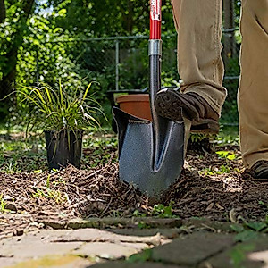 ROOT ASSASSIN One Shot Garden Shovel (43" D-Handle) - Holds More Than The Average Shovel, Back Wings Keep Dirt from Spilling Off The Back, Best for Yard Work, Gardening, Digging, Treasure Hunting