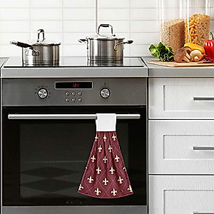 2pcs Red Buffelo Plaid Hanging Kitchen Towel Mardi Gras Flowers Soft Coral Velvet Hand Towels Loop Dish Towel for Bathroom Washcloth Absorbent Tie Towel