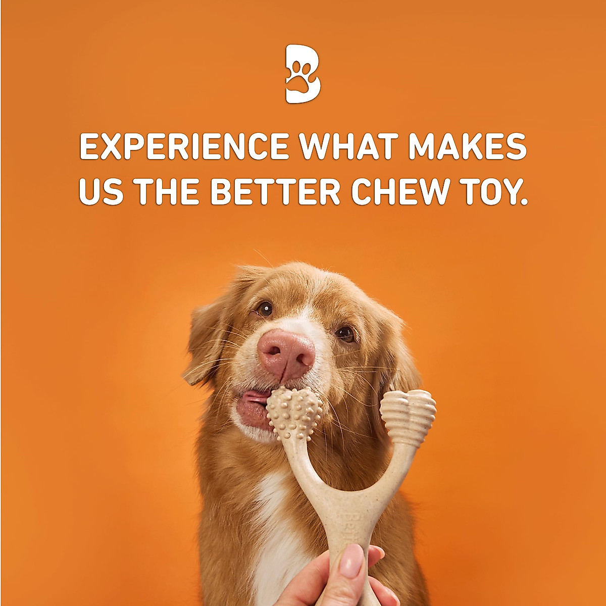 BetterBone - All-Natural, Nylon-Free Dog Chew Toys - Hard Density - Ideal for Strong to Aggressive Chewers - Non-Toxic, Promotes Dental Health, Splinter-Resistant, Sustainably Made