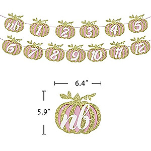 Pumpkin 1st Birthday Photo Banner, Glitter Pumpkin Bnaner Newborn to 12 Month Photo Display for Pumpkin Baby Shower Fall First Birthday Party Decor