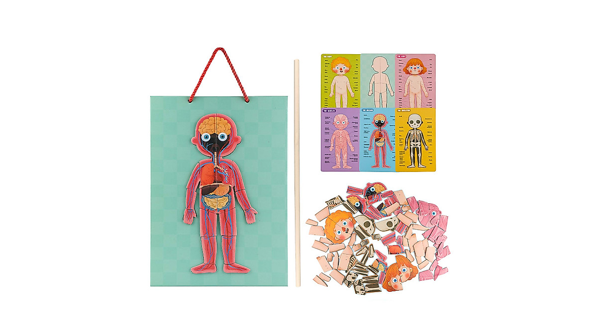 Human Body Puzzle for Kids - 90PCS Educational Toy