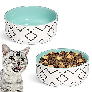 MSBC Ceramic Cat Bowls(13oz/390ml), Cute Cat Food and Water Feeder Set, Dog Cat Basic Bowl, Small Pet Feeding Dishes for Cat, Kitten, Small Dog, Whisker Stress Free, Dishwasher Safe, Set of 2, Blue