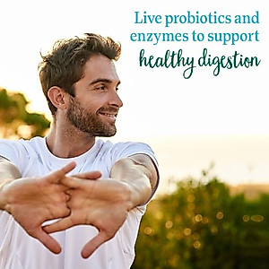 Garden of Life Whole Food Vegetable Supplement - Perfect Food Green Superfood Dietary Supplement, 300 Count